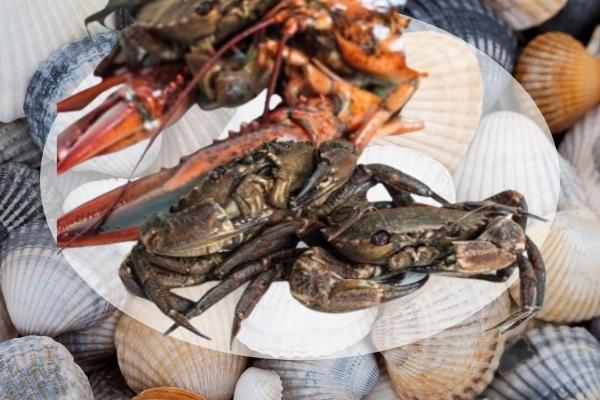 What You Need to Know When You're Buying Seafood